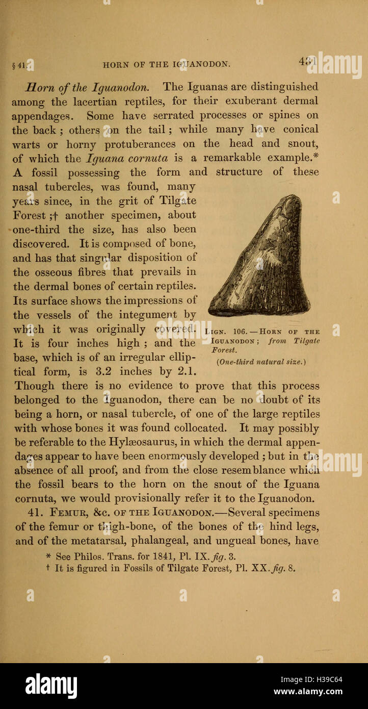 This work provides an accessible explanation of geological phenomena ...