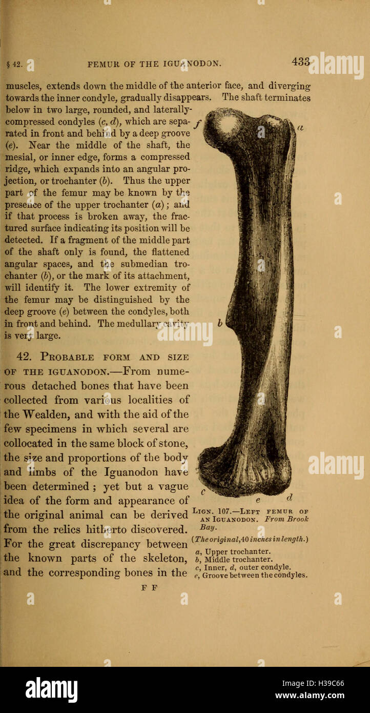 This work presents an accessible explanation of geological phenomena ...