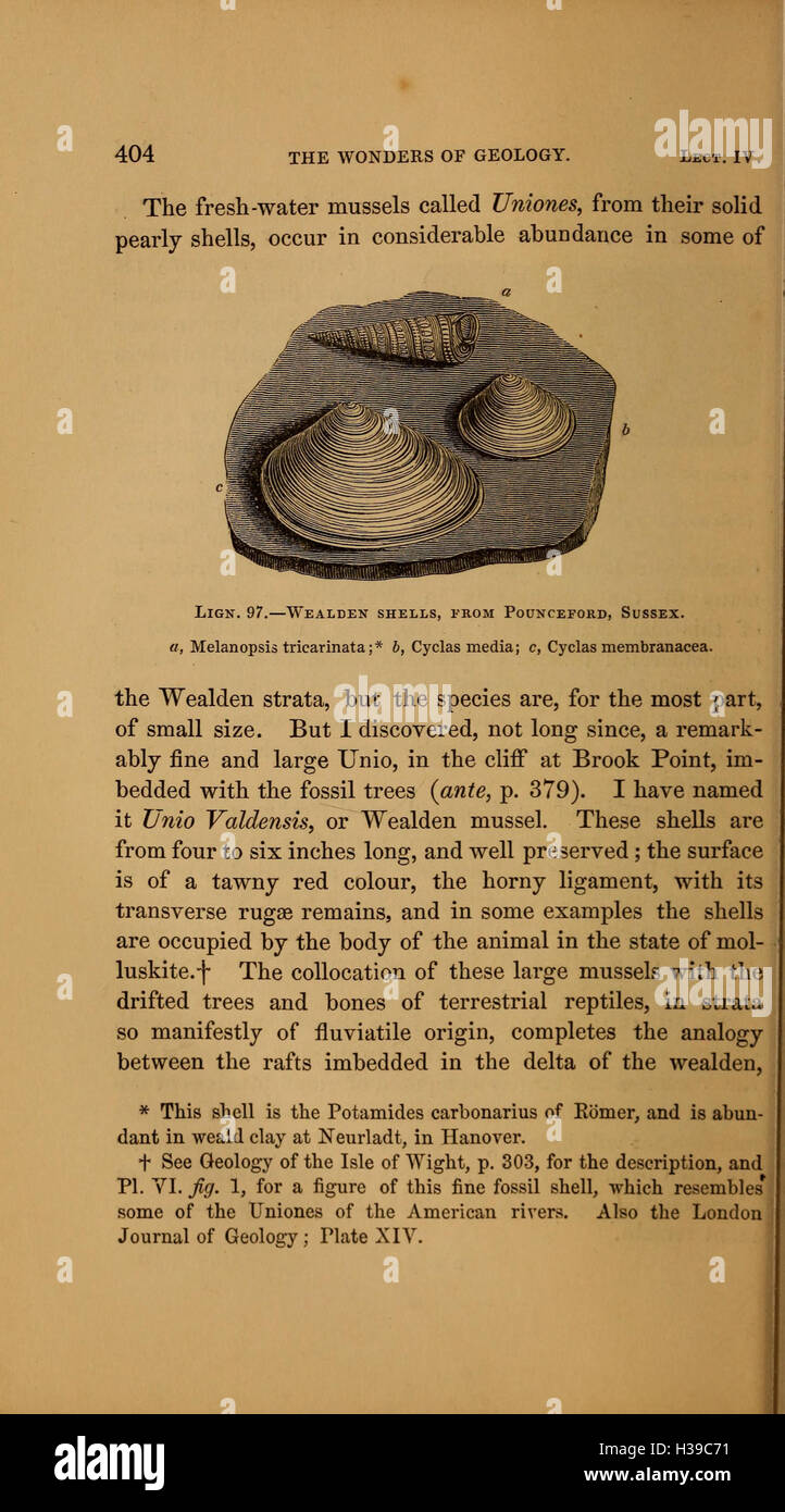 An exploration of geological phenomena, presenting various geological ...