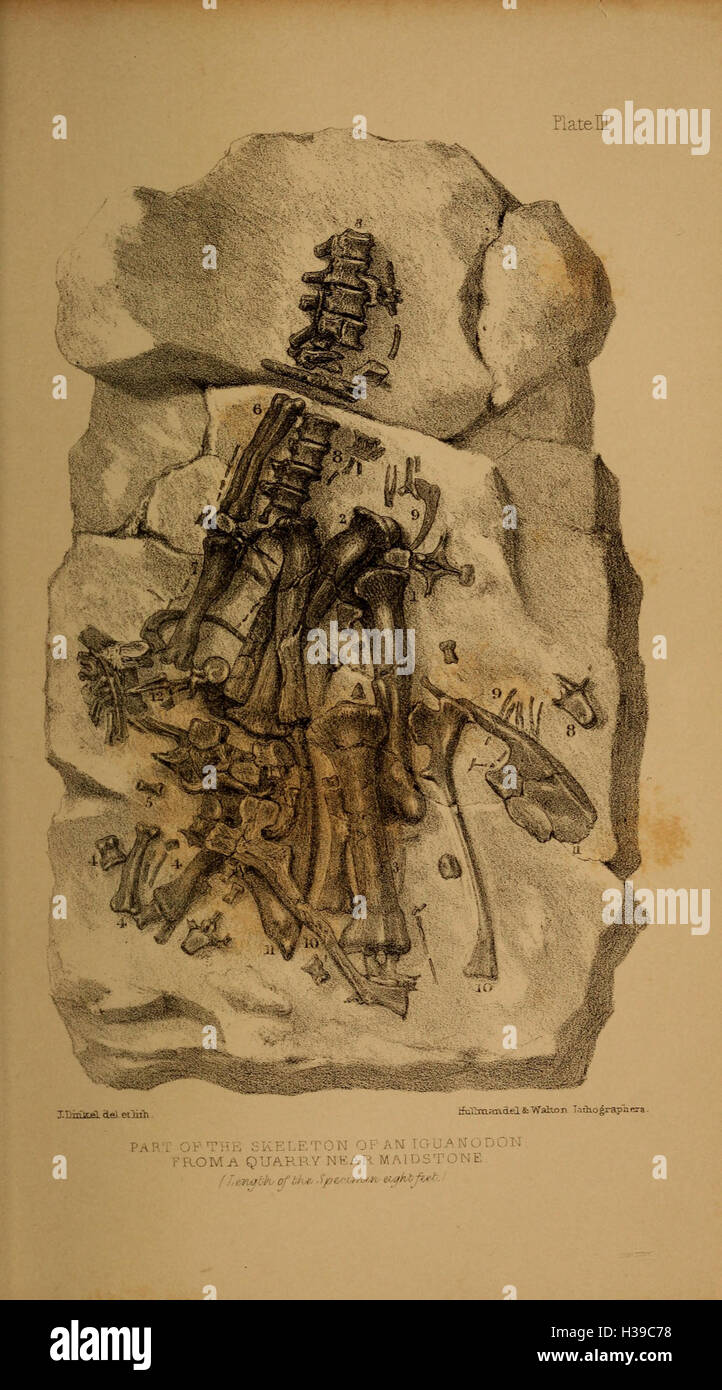 This work explores various geological phenomena, providing an ...