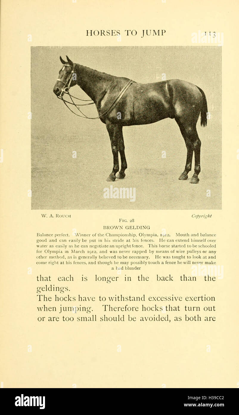 This guide covers techniques for training young horses to jump ...