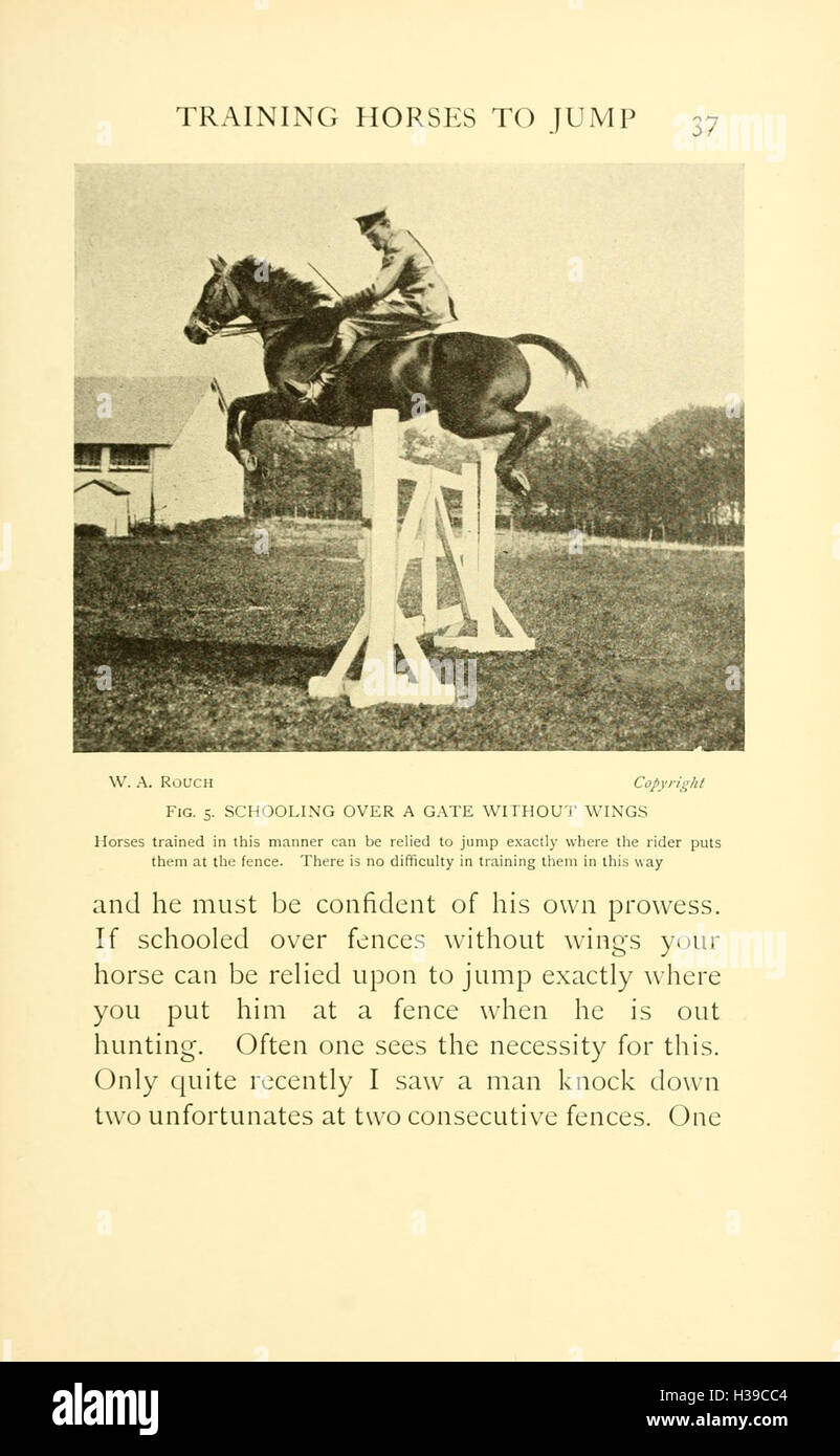 This guide offers methods for training young horses in the art of ...