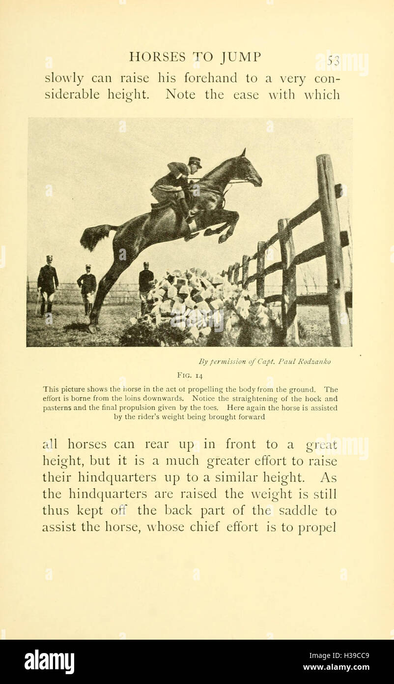 A guide to training young horses for jumping, focusing on techniques ...