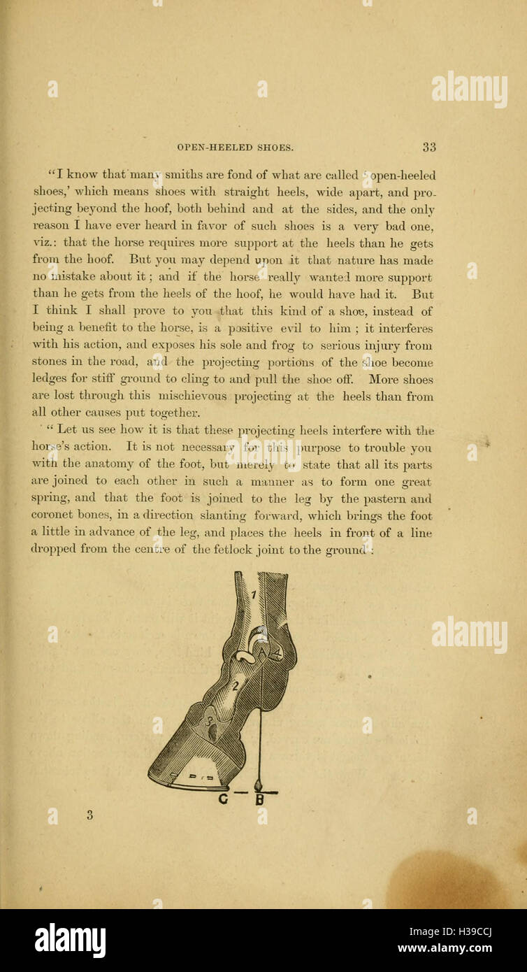 This work provides information on tips and toe-weights, which are used ...