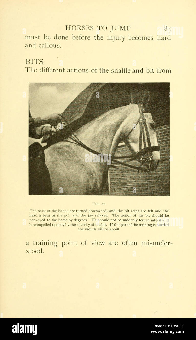 This guide offers techniques for training young horses to jump ...