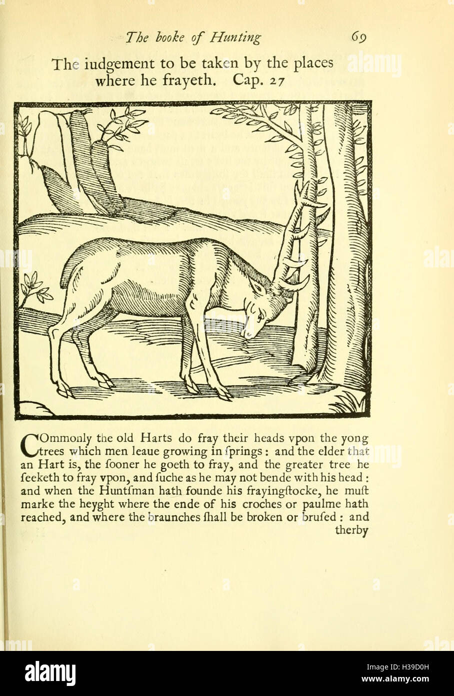 This historical text from 1576 offers insights into hunting practices ...