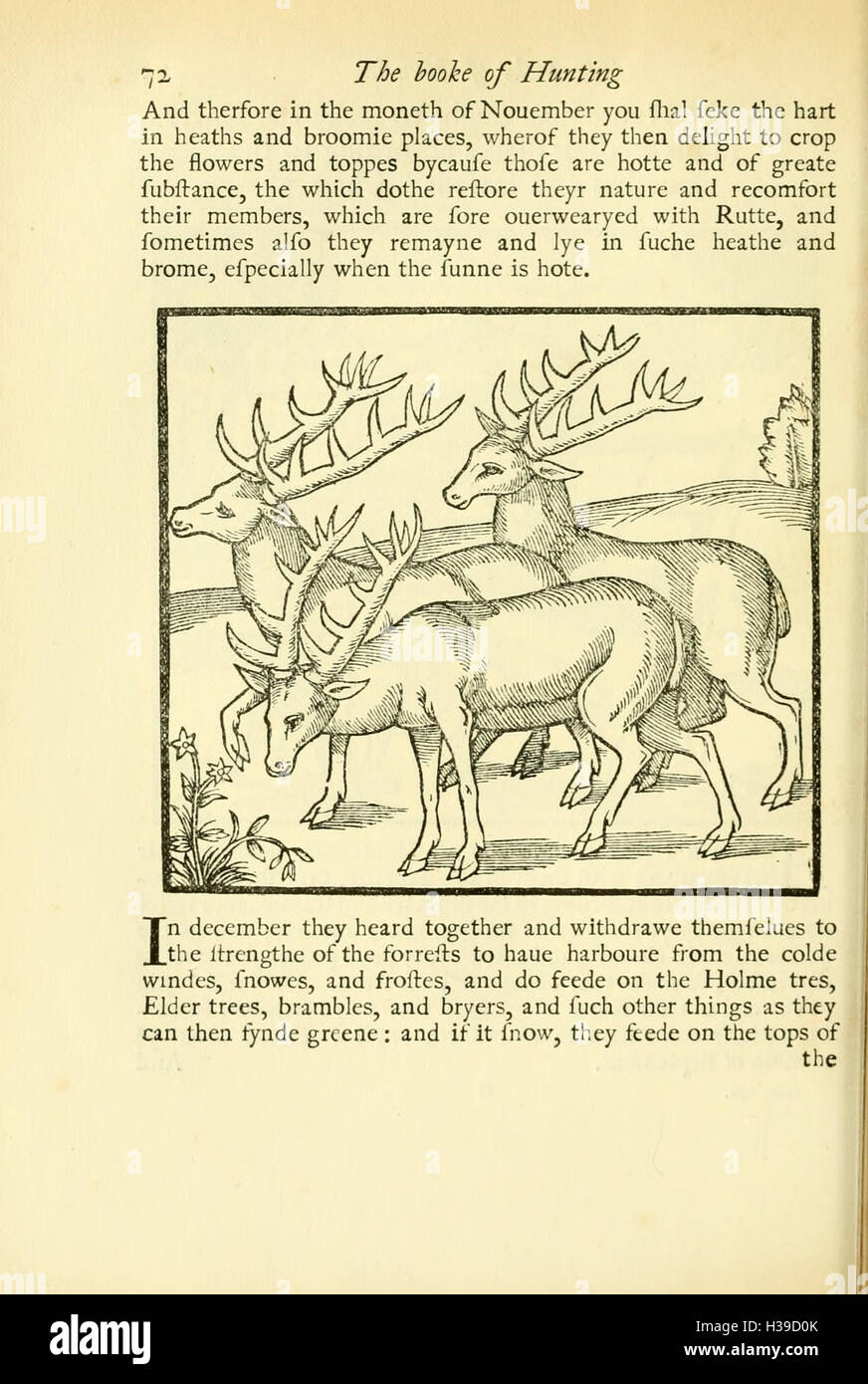 A historical text on hunting techniques from the 16th century, covering ...