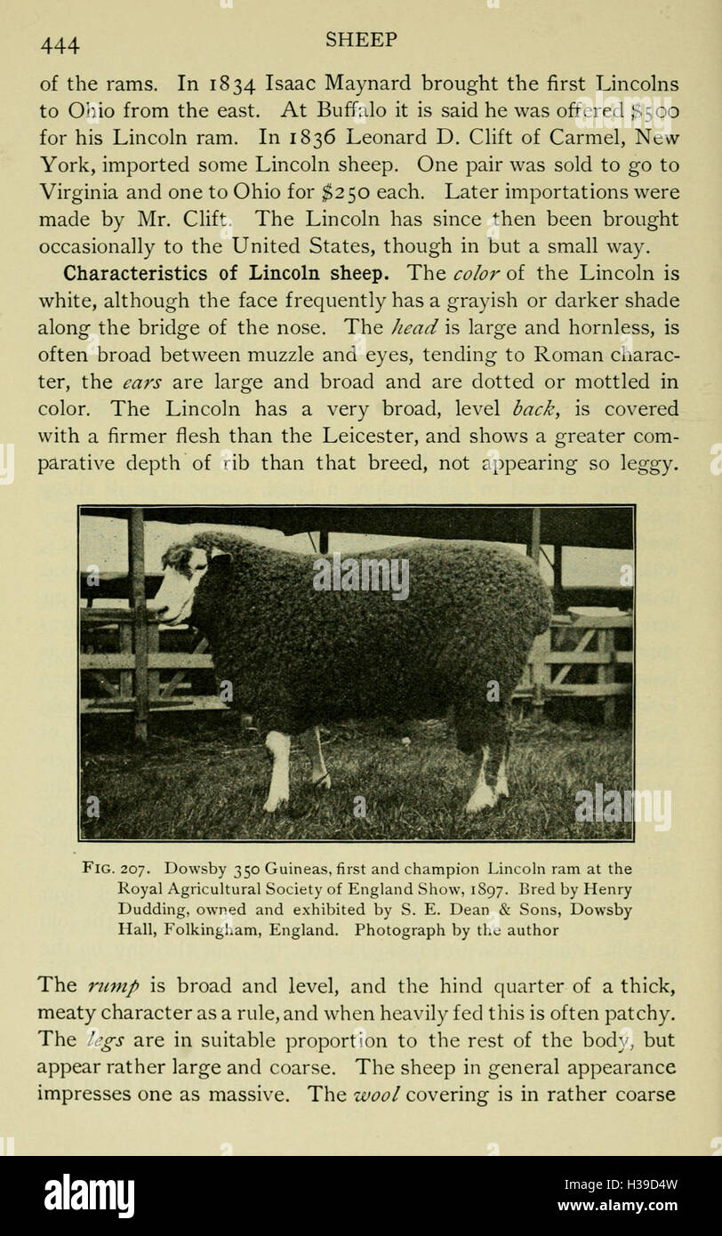 Pages 444 hi-res stock photography and images - Alamy