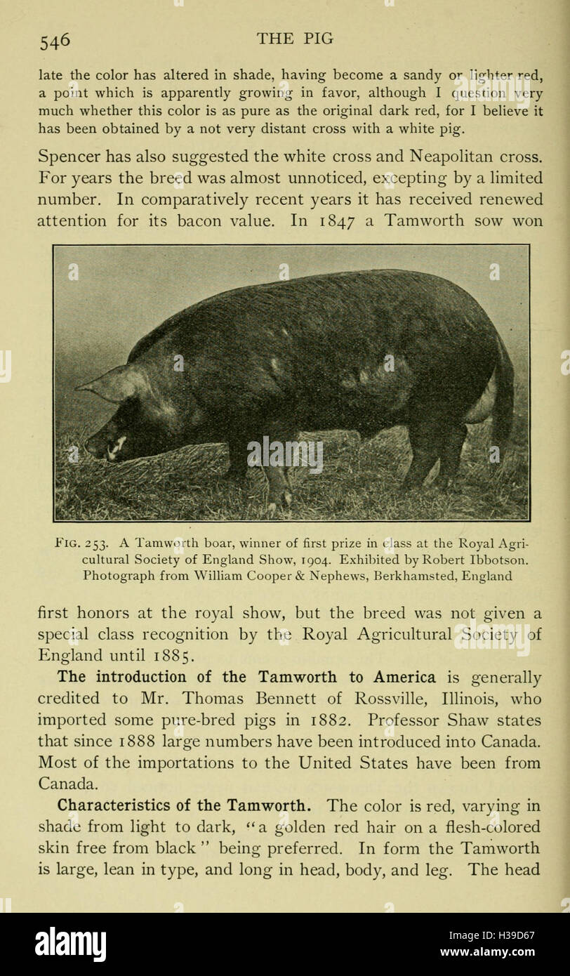 This work details various types and breeds of farm animals, focusing on ...