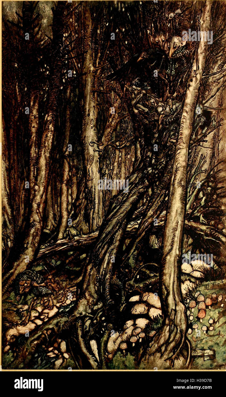 Undine, a 1909 publication, presents the story of a water nymph who ...