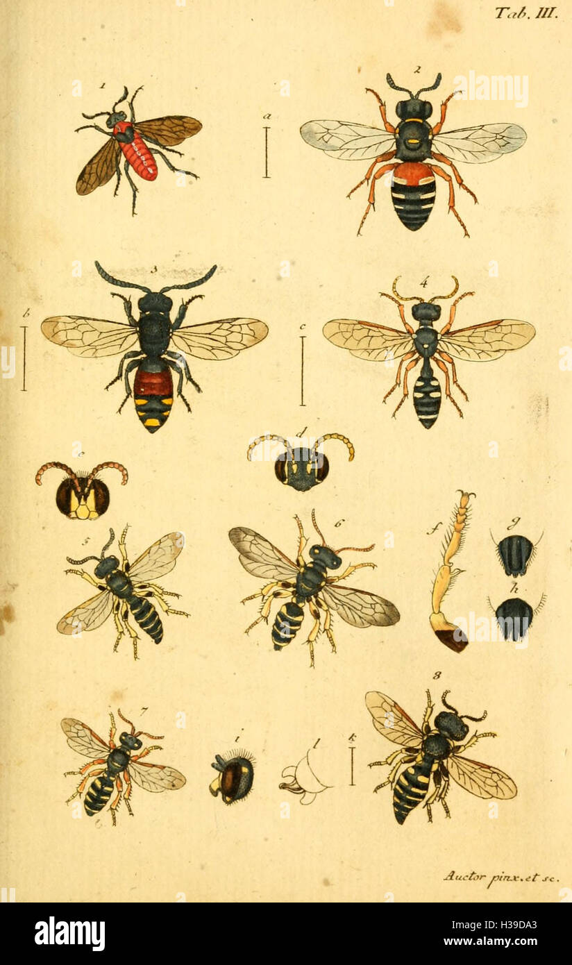 This catalog lists the author's insect collection, providing details on ...