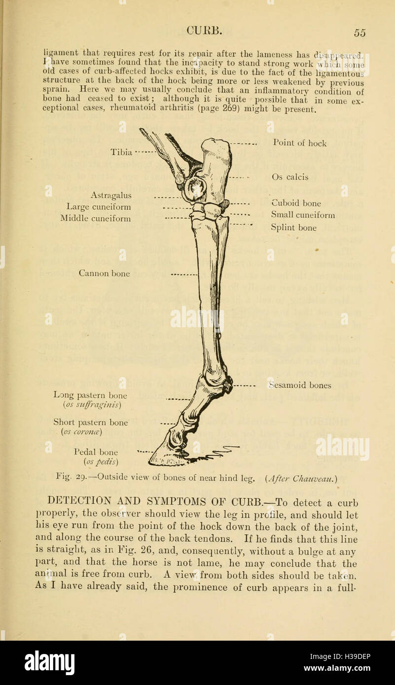 This guide provides practical veterinary notes for horse owners ...