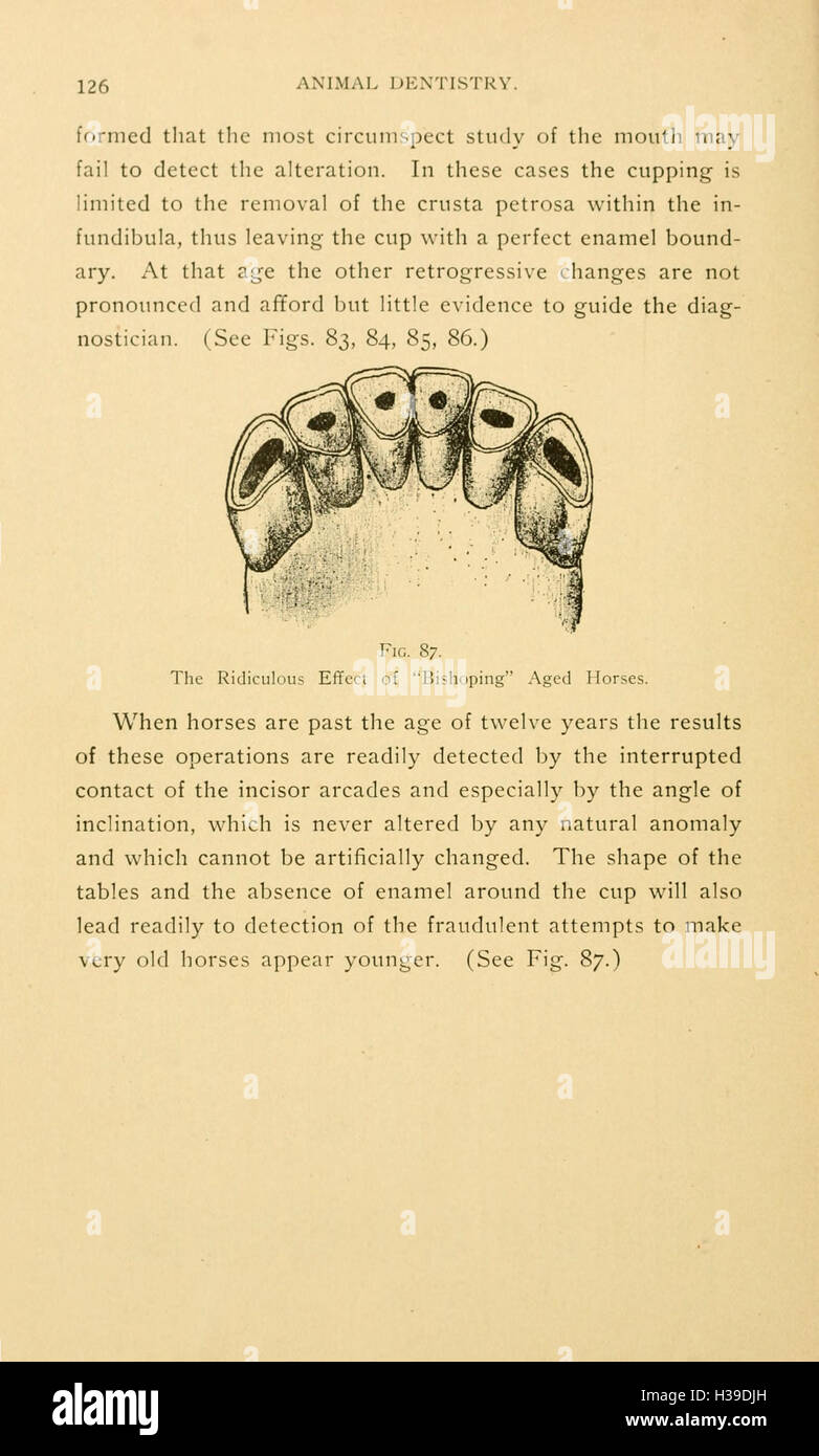 This text provides an overview of veterinary surgical procedures ...