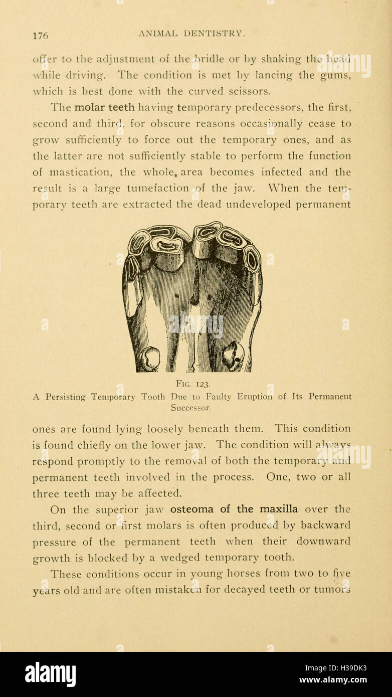 This book covers the fundamental principles of veterinary surgery ...