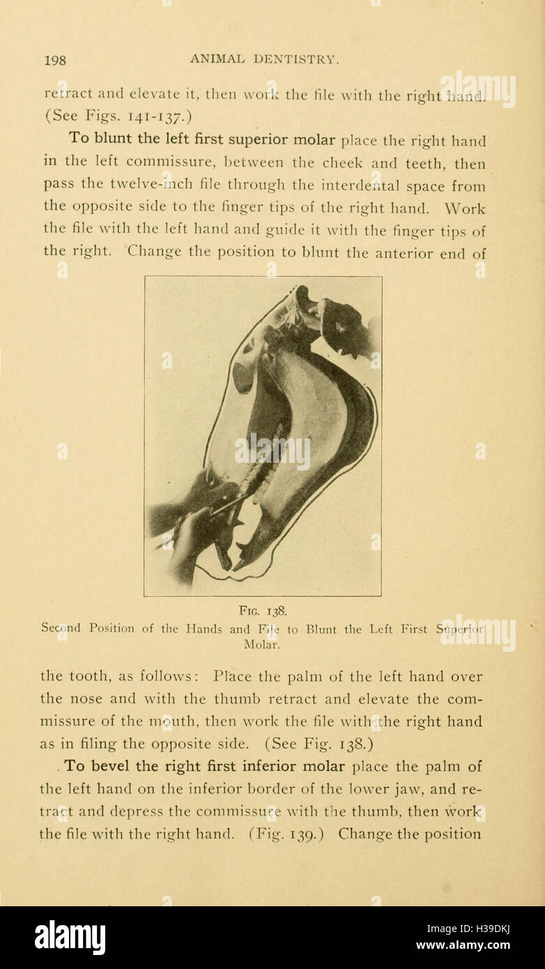 This book offers an in-depth look at the practices, techniques, and ...