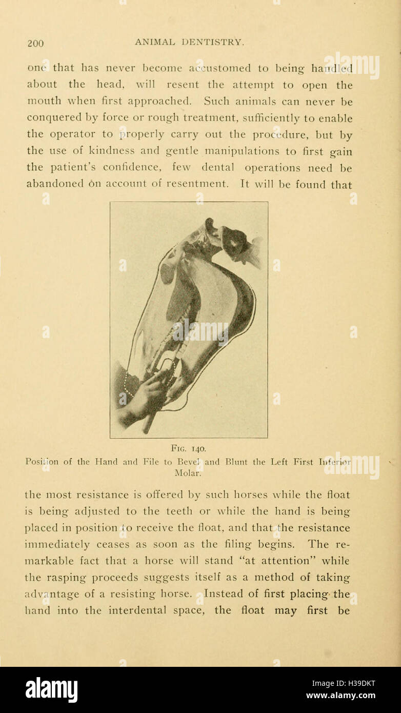 Veterinary surgery covers surgical hi-res stock photography and images ...