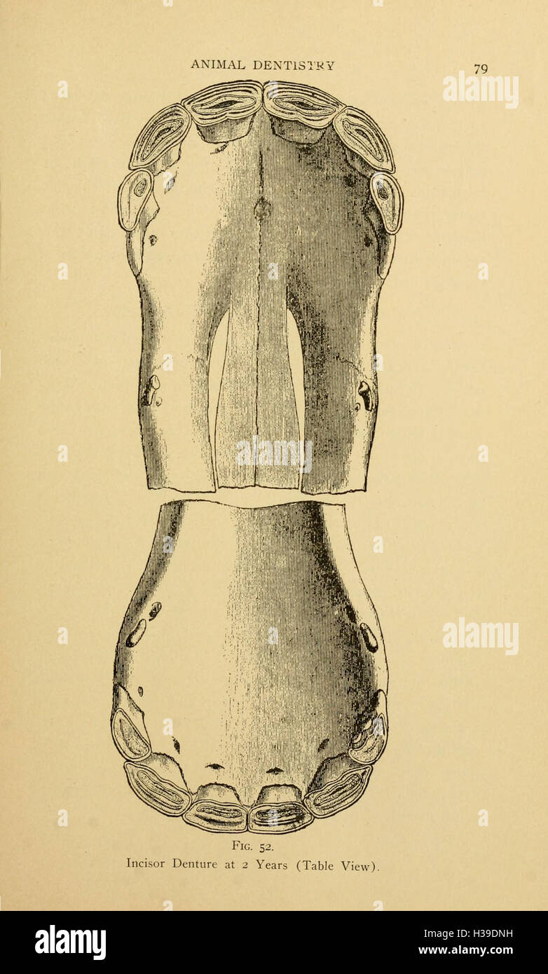 This book focuses on the principles and practices of veterinary surgery ...