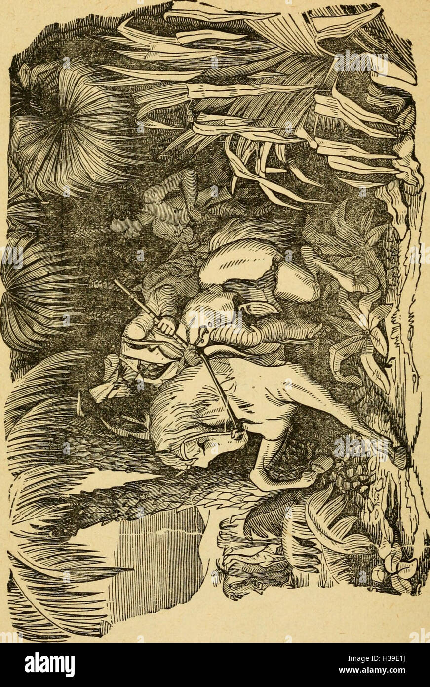 This book portrays the life of a hunter in the wild, describing various ...