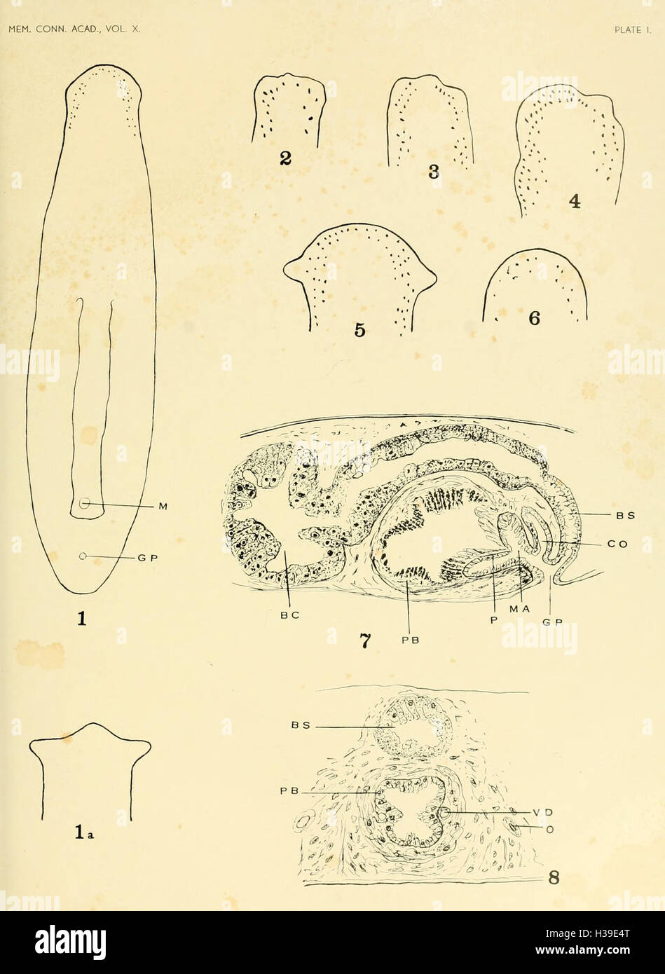This report describes the Yale North India Expedition, focusing on the ...