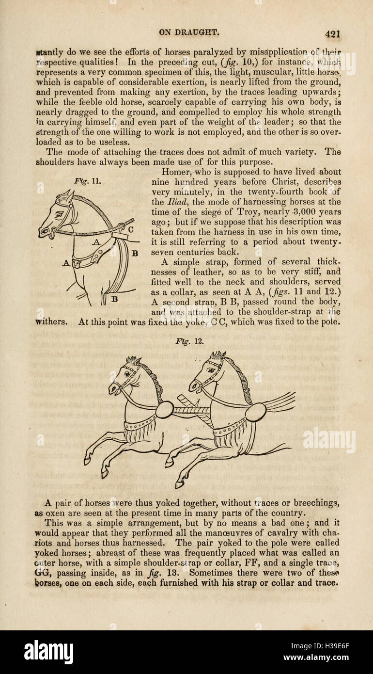 This comprehensive work examines the history of the horse, its ...