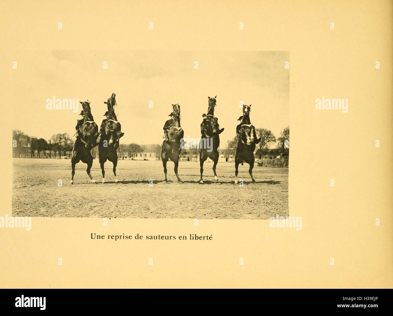 This text discusses the Cavalry Training School, outlining its history ...