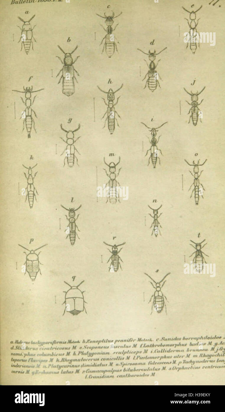 This work presents a list of new beetle species discovered during ...