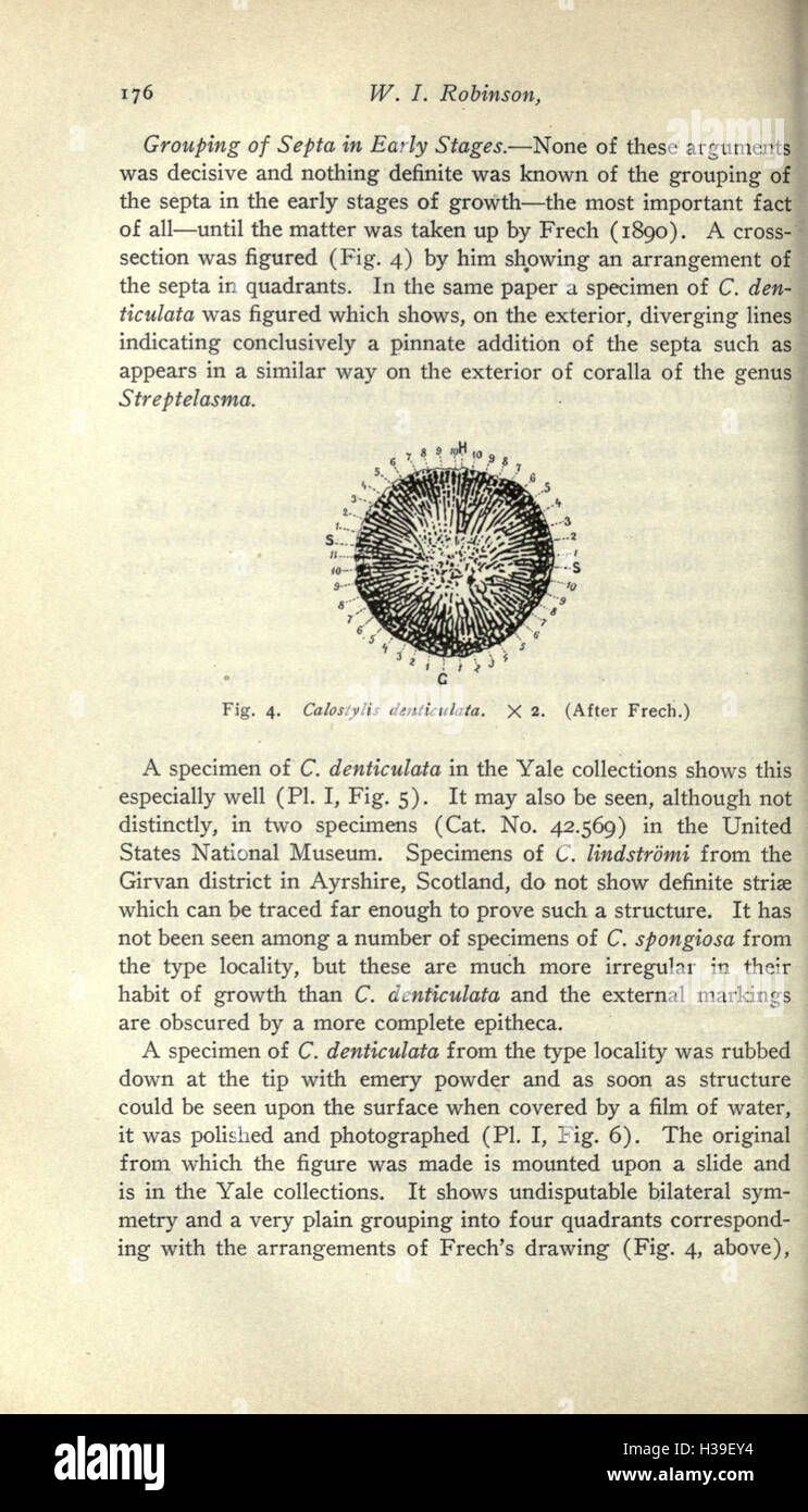 This book explores the history and characteristics of ancient Peruvian ...