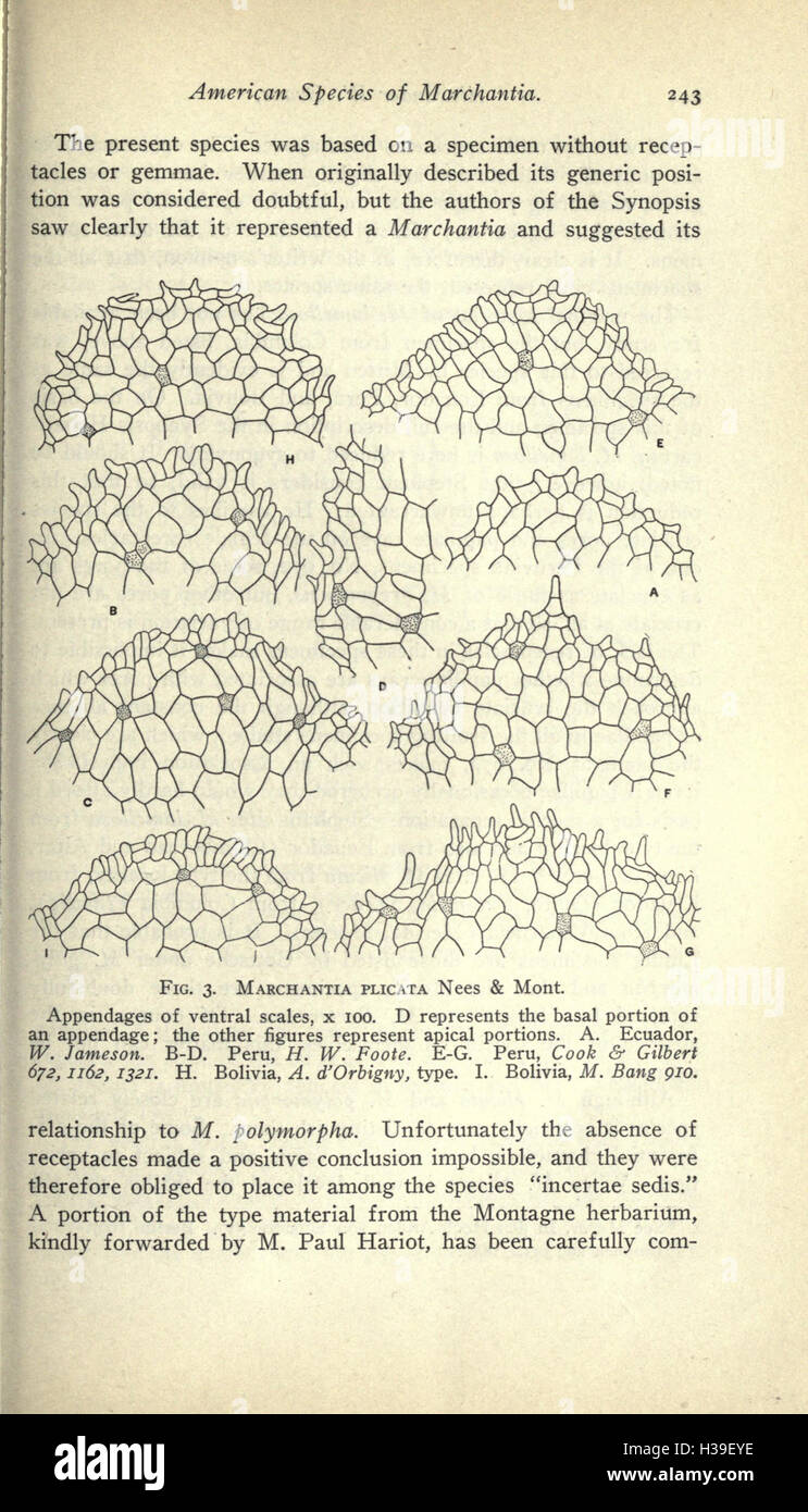 This page surveys ancient Peruvian art, covering the major styles ...