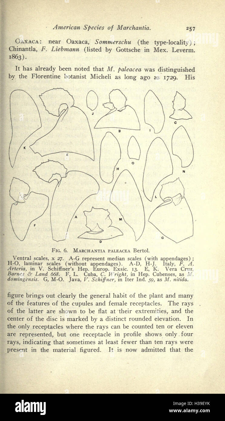 This page surveys ancient Peruvian art, analyzing its styles ...