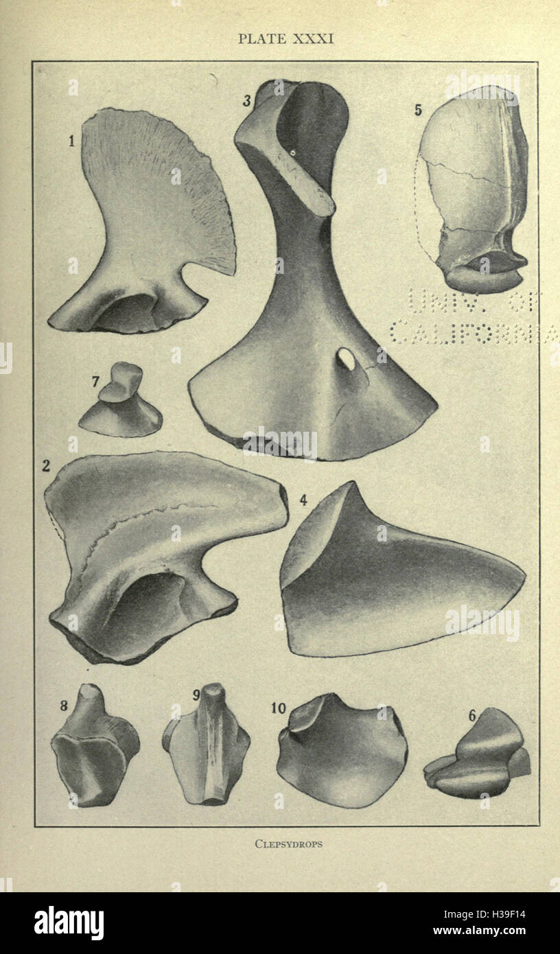 A study of vertebrate fossils from the Permian period in North America ...