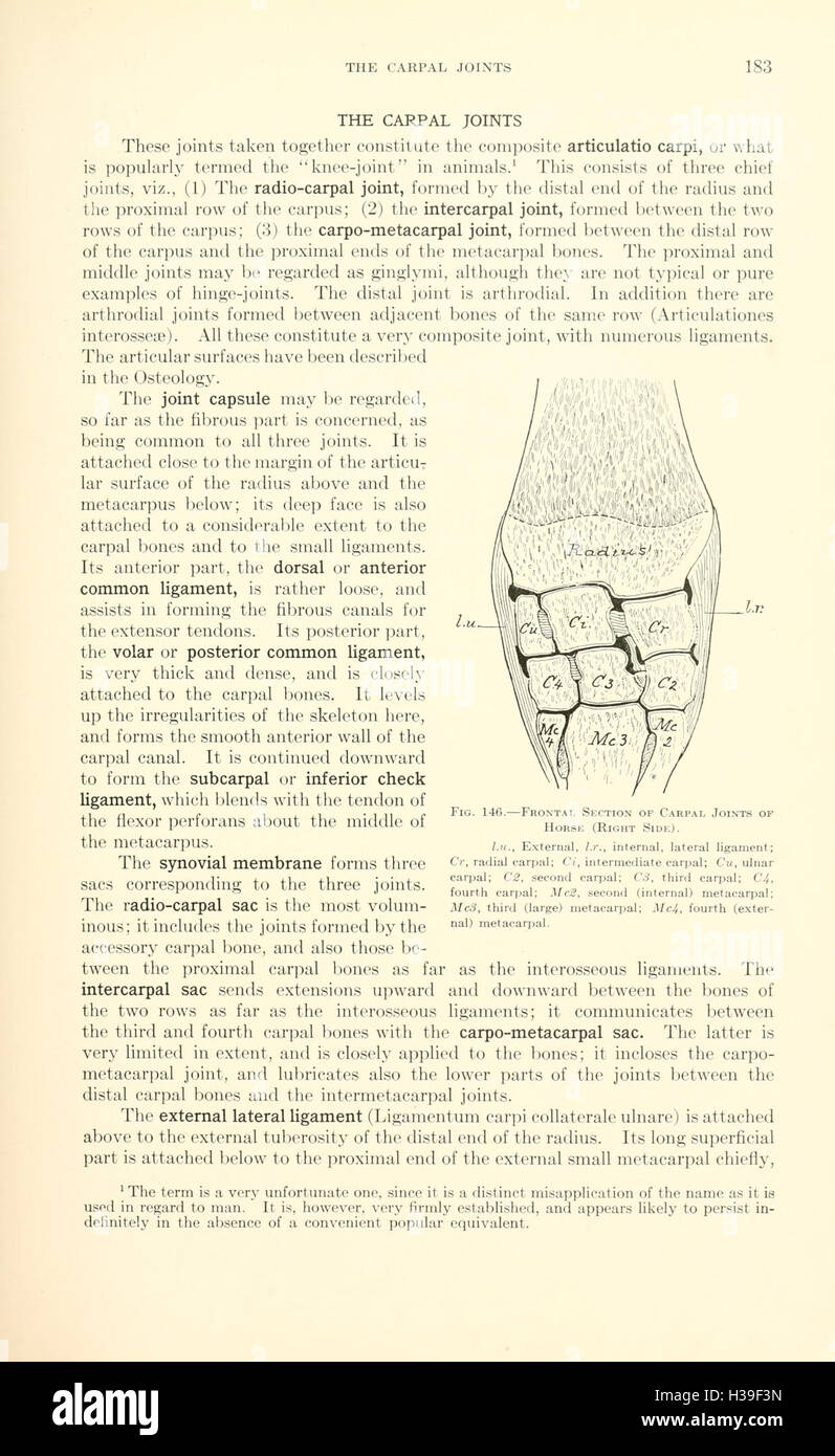 This textbook covers the anatomy of animals, providing detailed ...