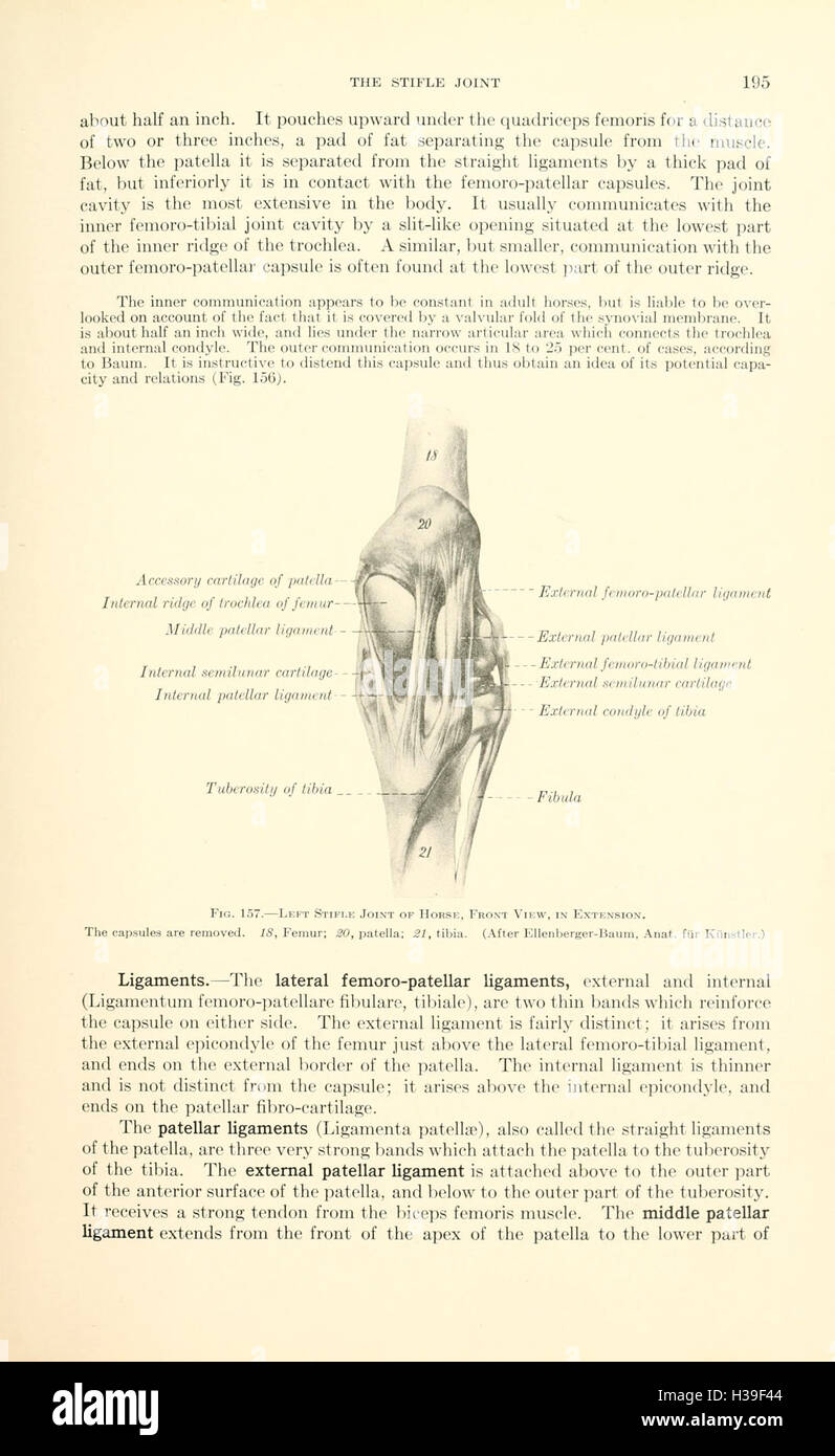 This veterinary anatomy textbook provides detailed anatomical ...