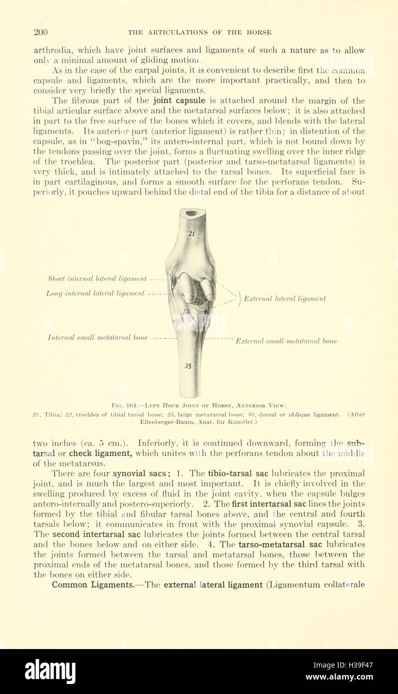This veterinary anatomy textbook offers an in-depth look at the anatomy ...