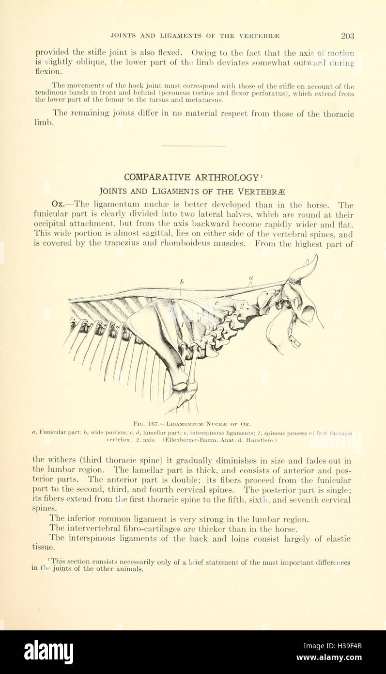 This textbook offers an in-depth overview of veterinary anatomy ...