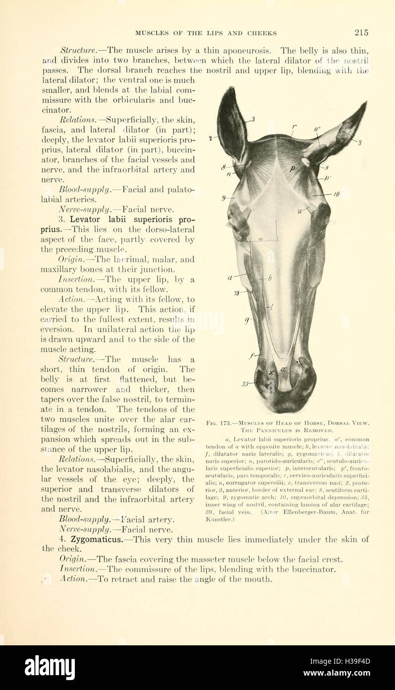 This textbook offers a detailed examination of veterinary anatomy ...