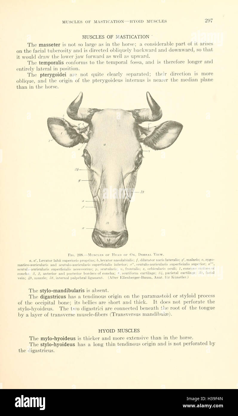 This textbook covers the anatomy of animals, providing detailed ...