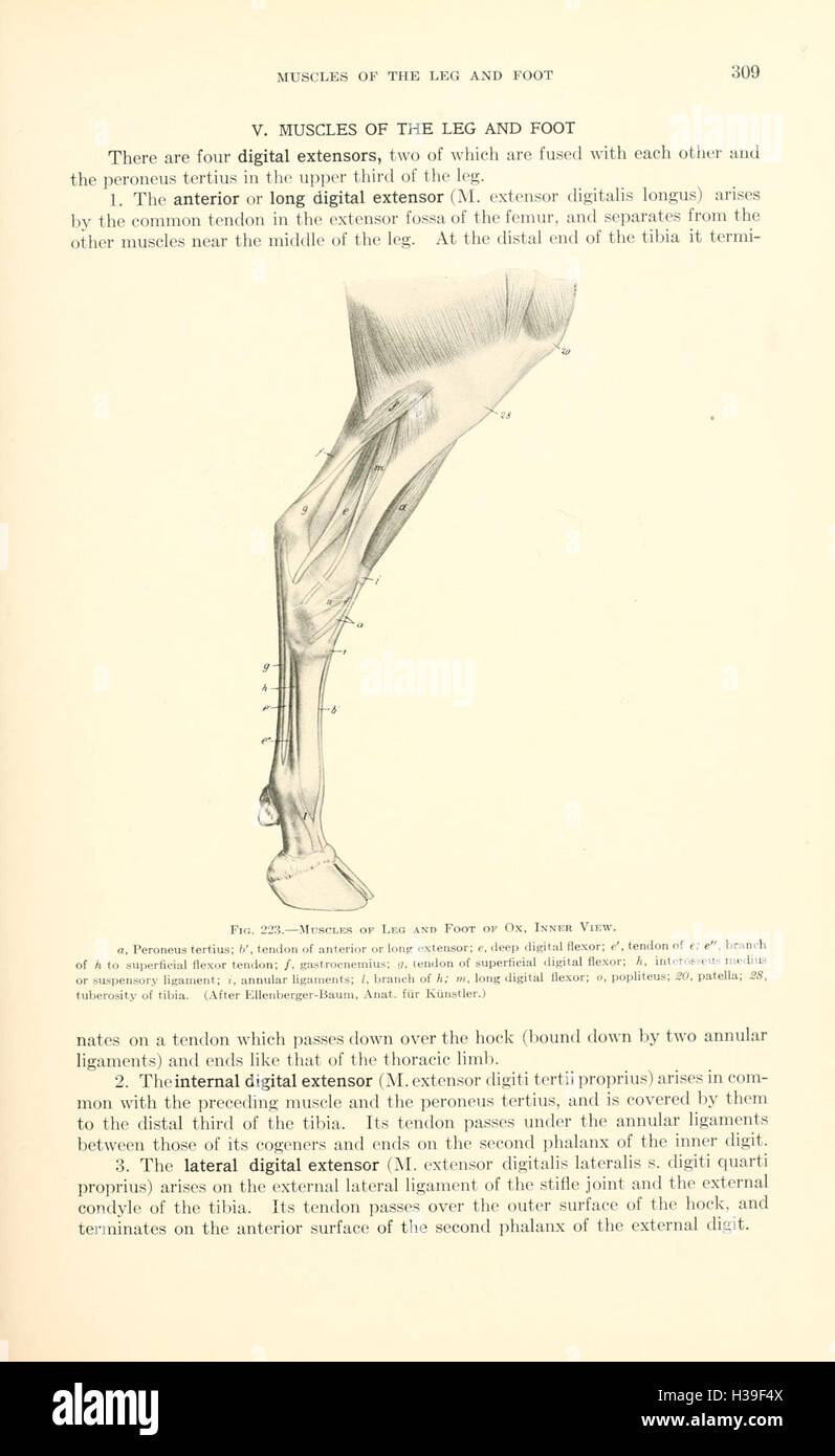 This textbook provides a comprehensive overview of veterinary anatomy ...