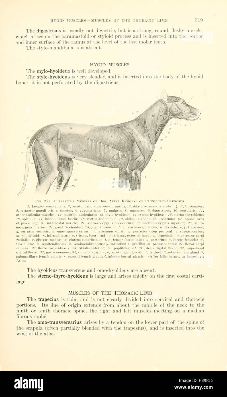 This textbook provides a detailed examination of the anatomy of animals ...
