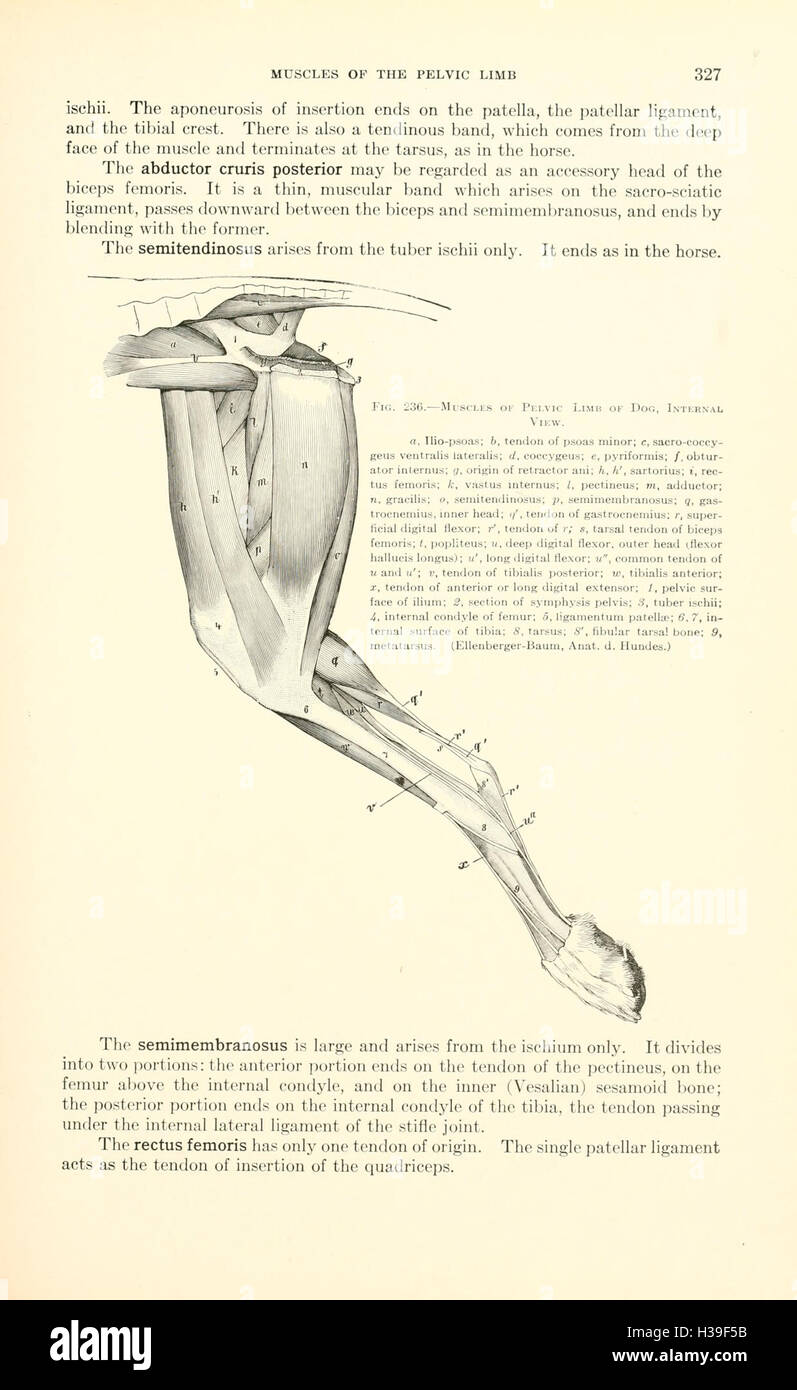 This textbook provides a detailed study of veterinary anatomy, covering ...