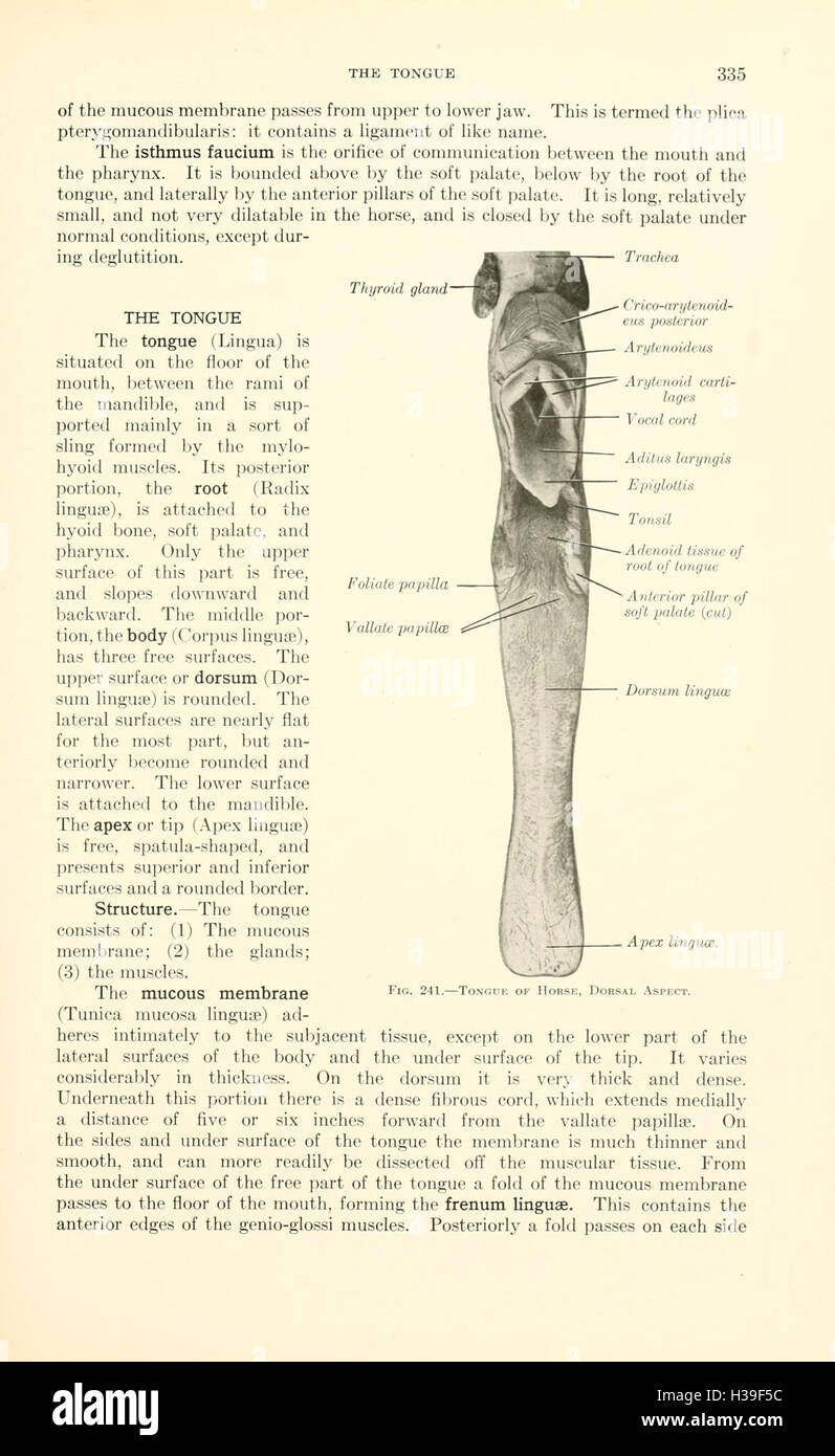 This textbook on veterinary anatomy covers the structure and function ...