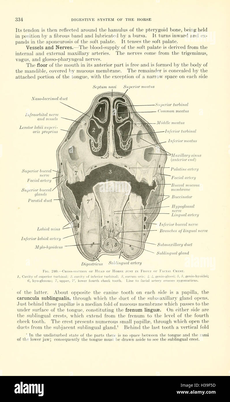 This book provides an in-depth guide to the anatomical structures of ...