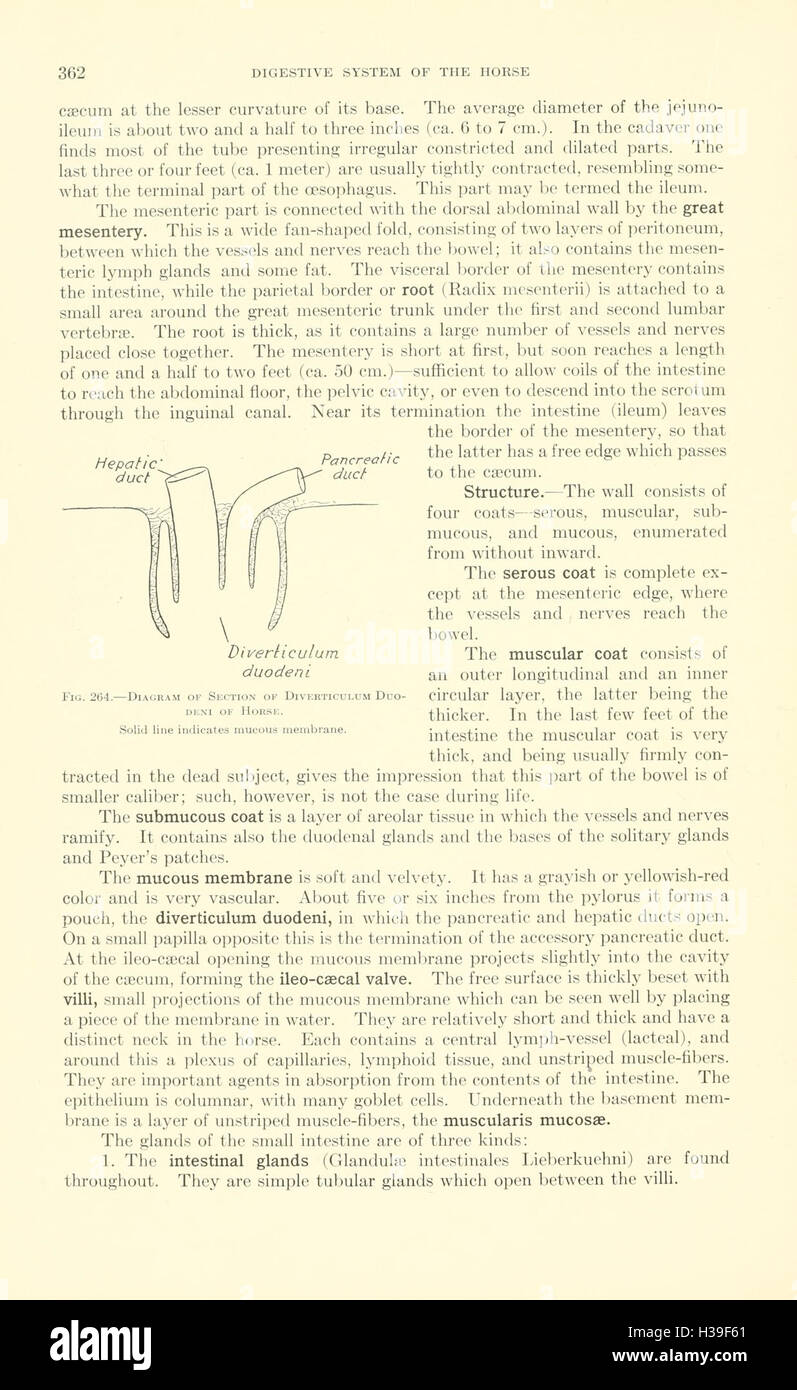 A textbook on veterinary anatomy, covering the structure and functions ...