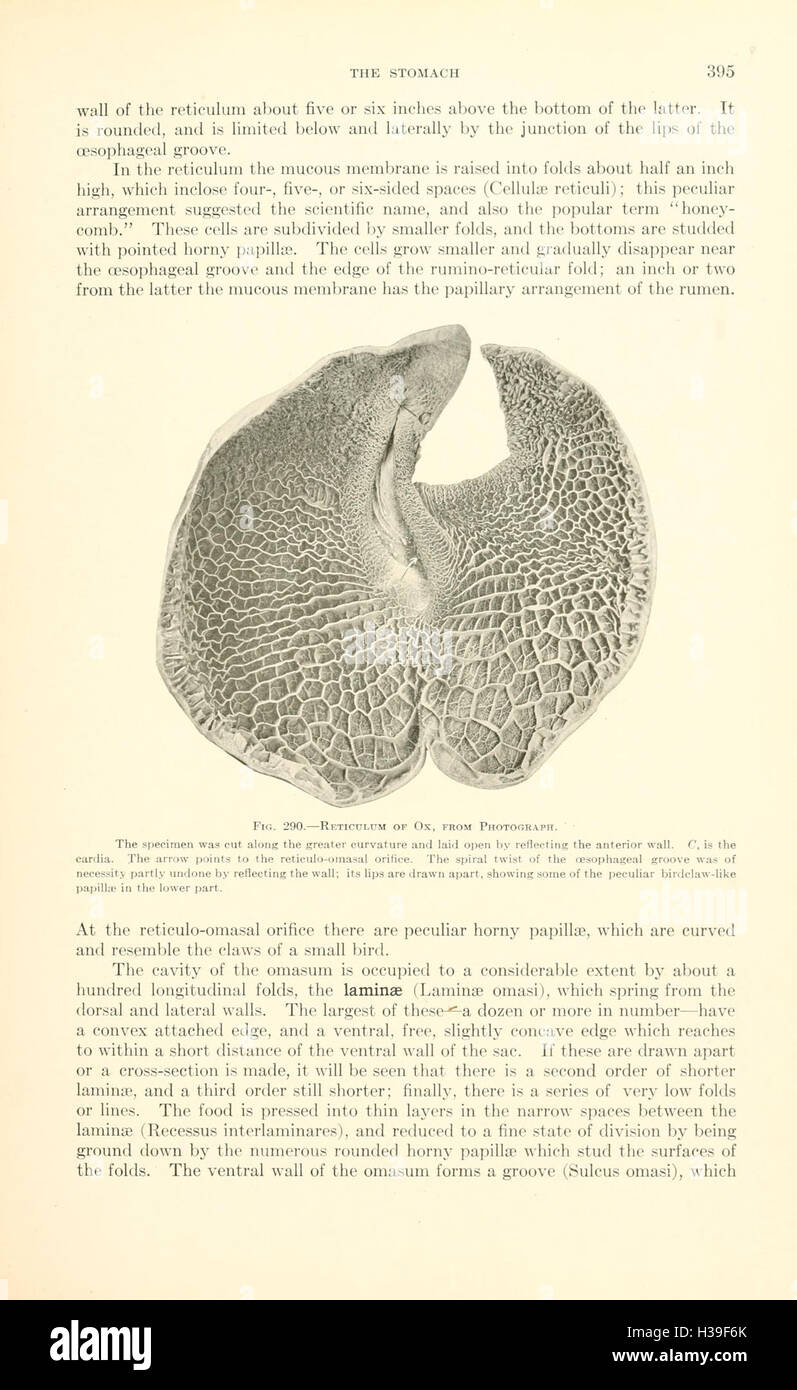 This textbook covers the anatomy of animals, with a focus on veterinary ...