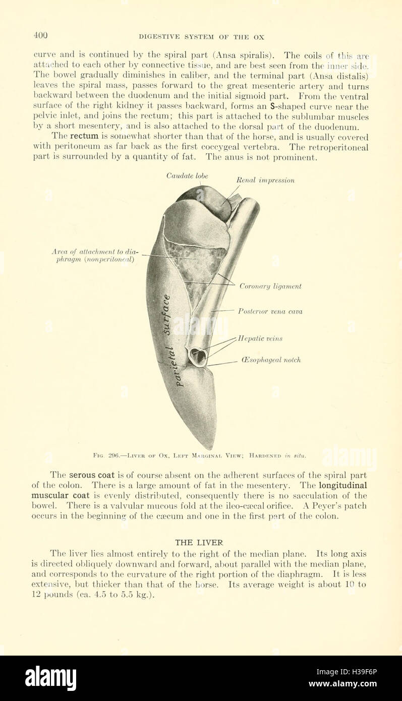 This textbook provides a detailed overview of veterinary anatomy ...