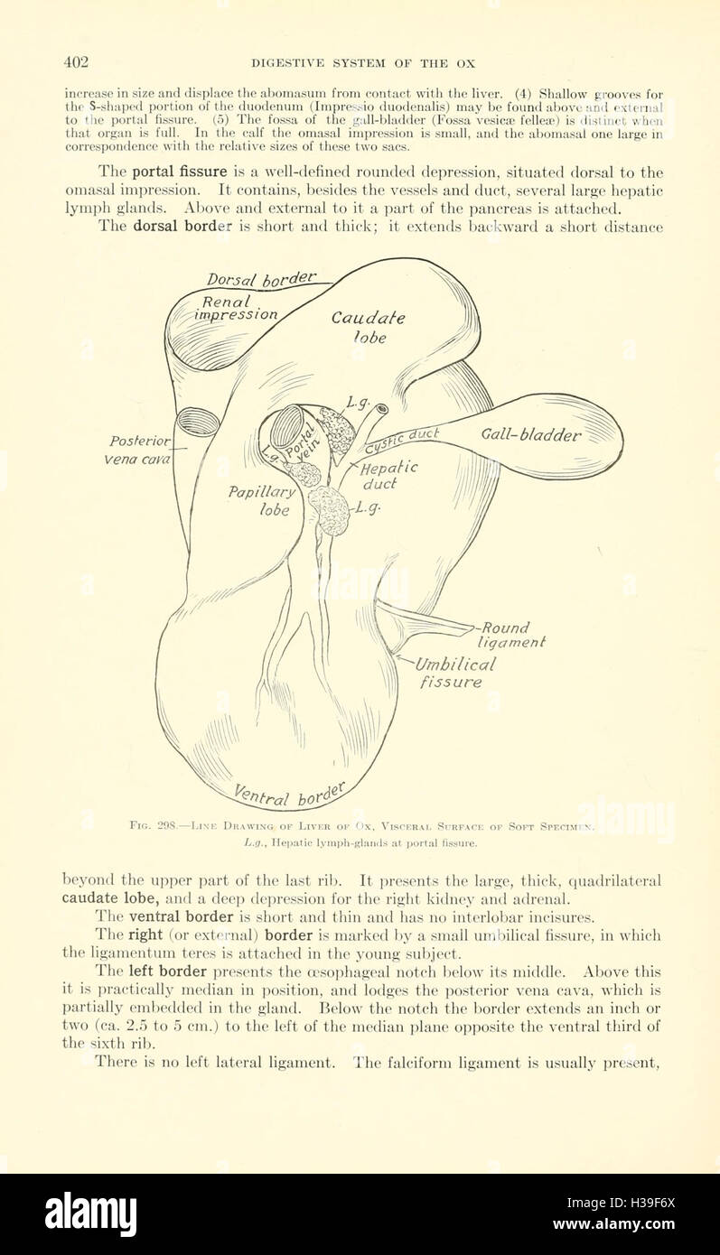 A comprehensive guide to the anatomy of animals, focusing on the ...