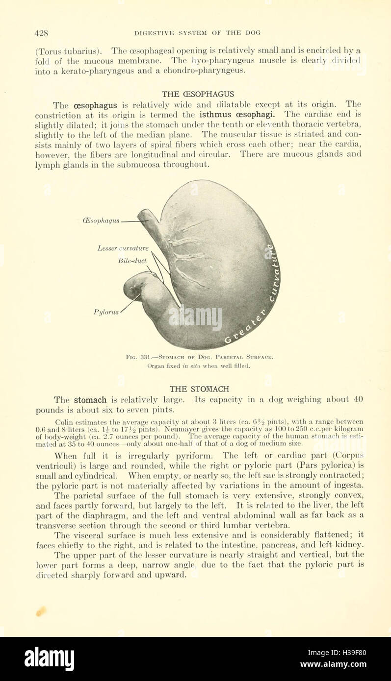 This textbook page details the anatomy of animals, focusing on the ...