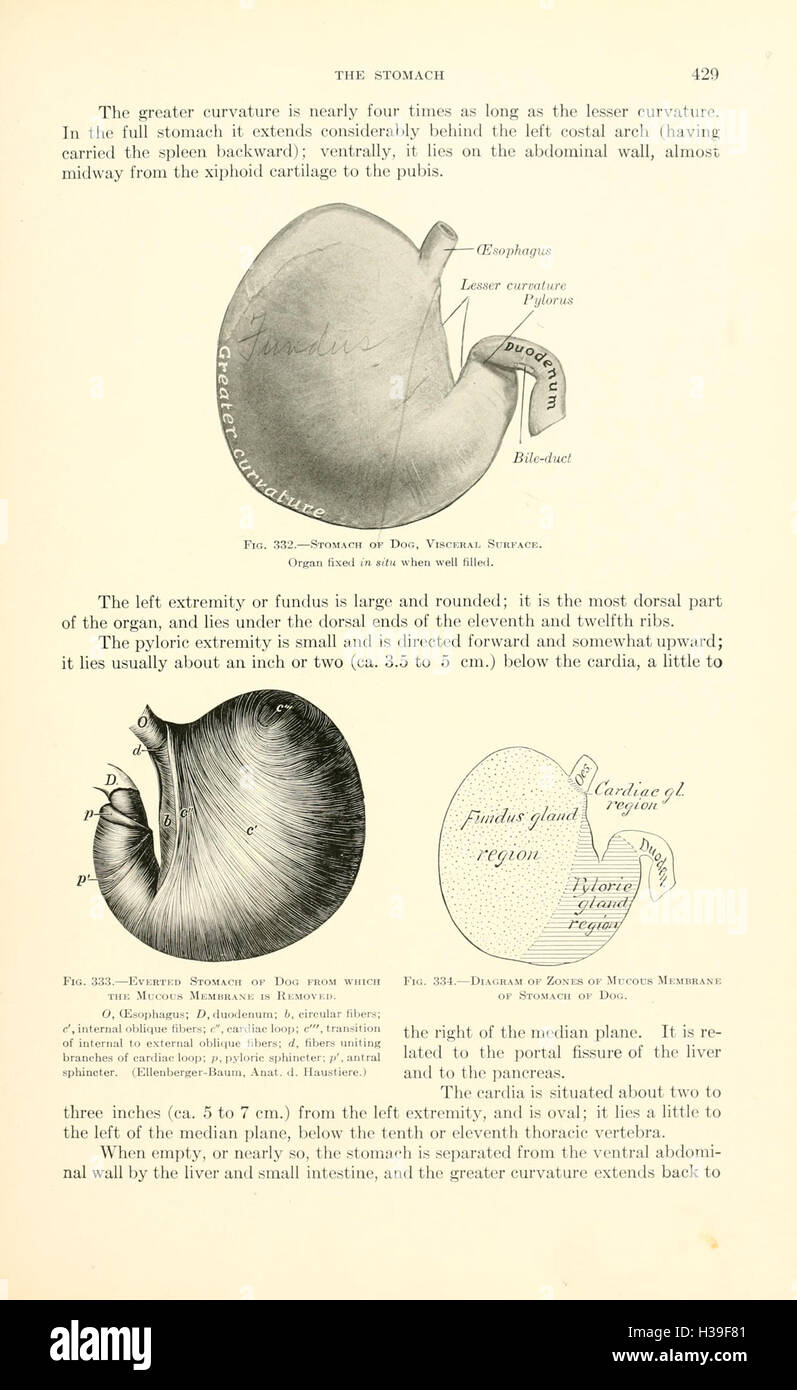 This textbook covers the anatomical structure of animals, particularly ...