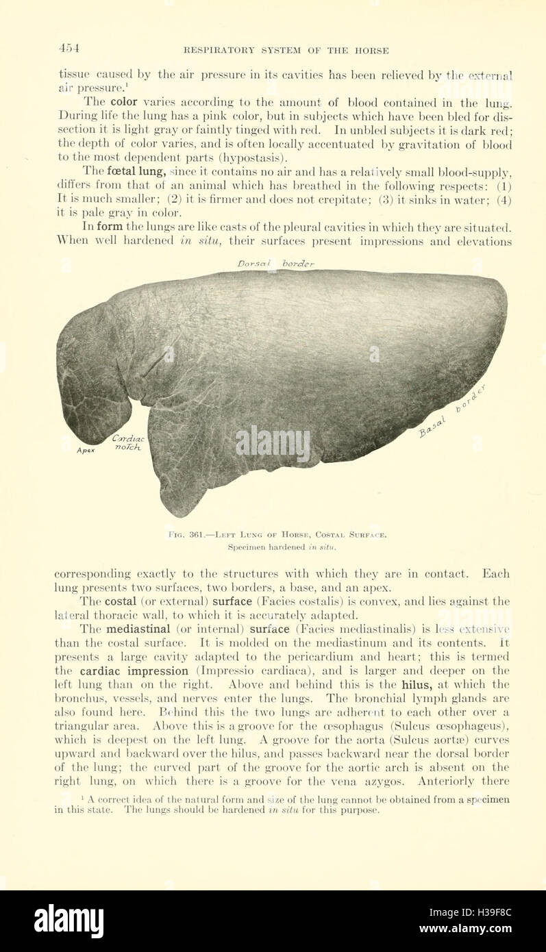 This textbook offers a detailed overview of the anatomy of animals ...