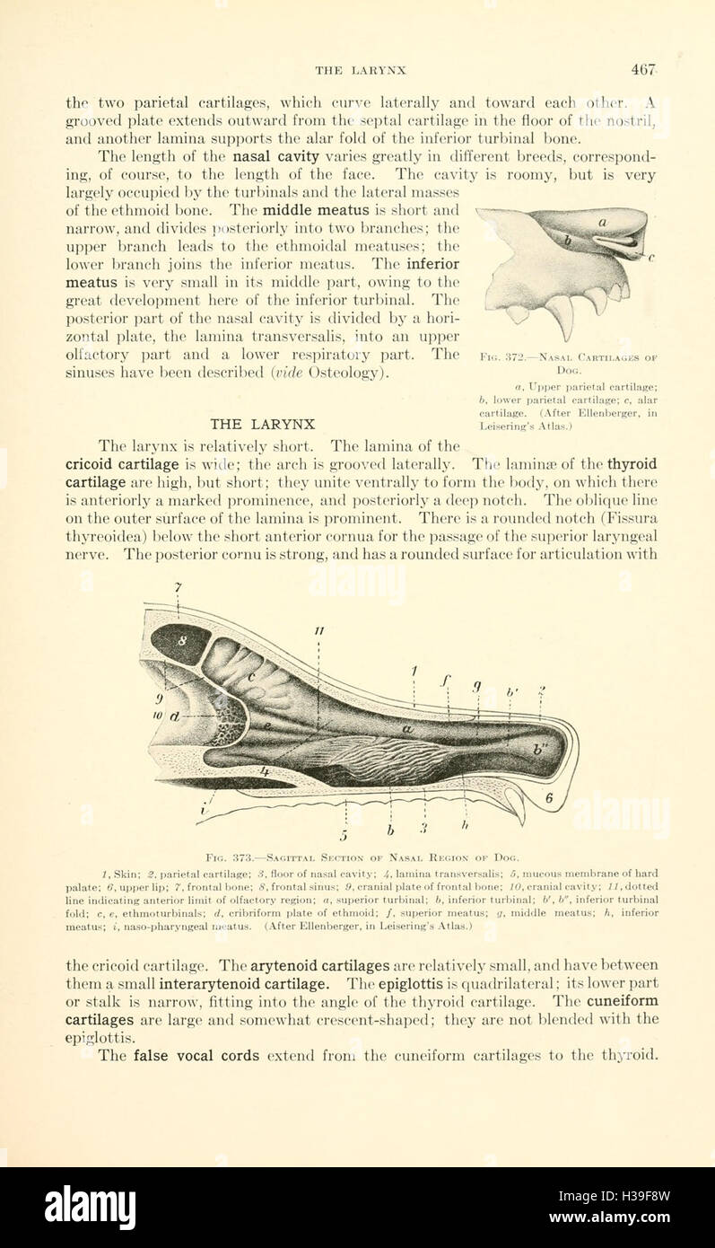This text-book covers the anatomy of various animals, providing ...