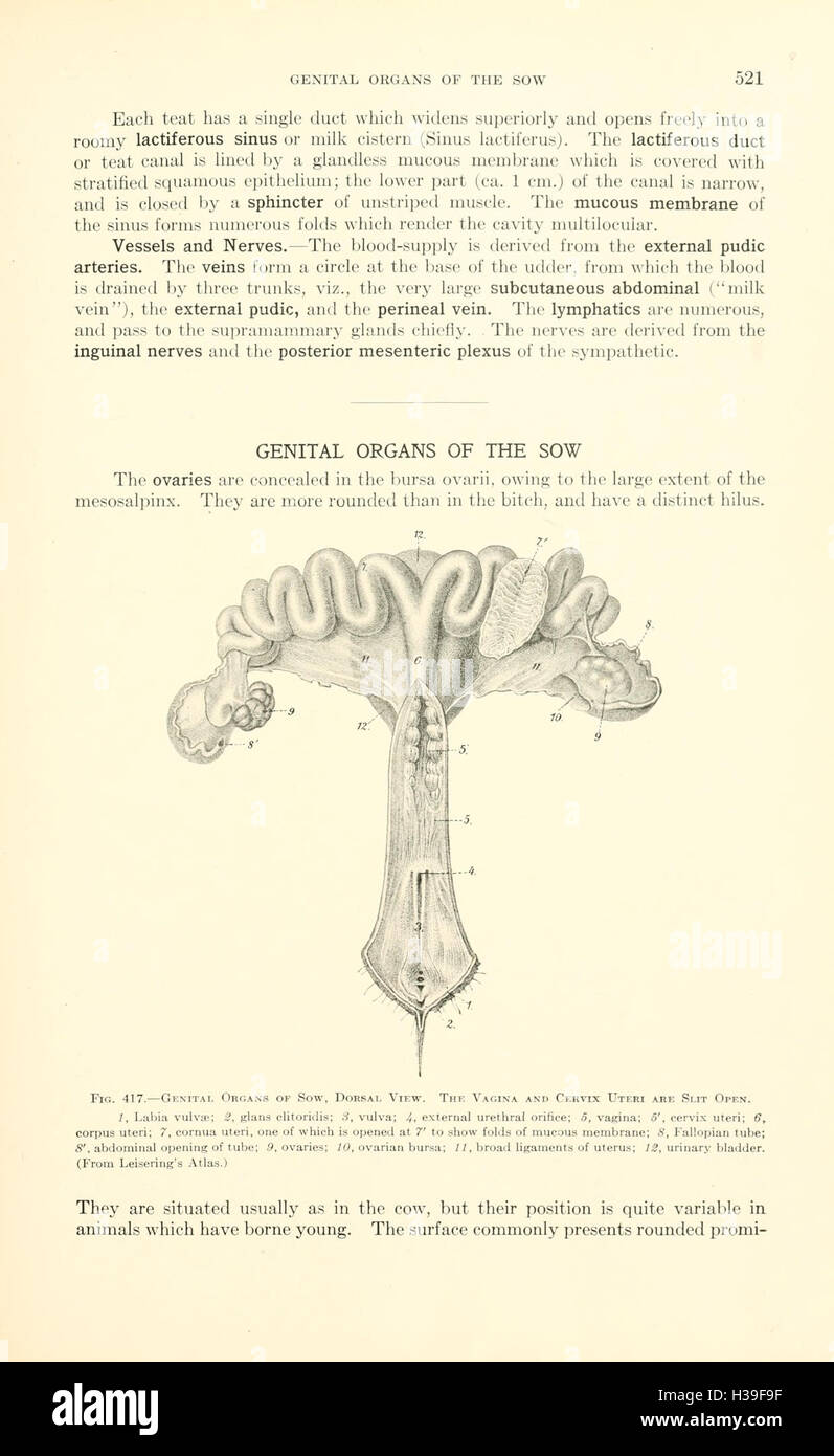This textbook provides detailed information on the anatomical structure ...